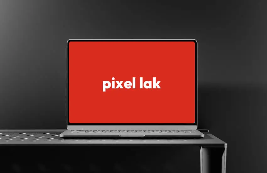 Our Works - remotebuddy